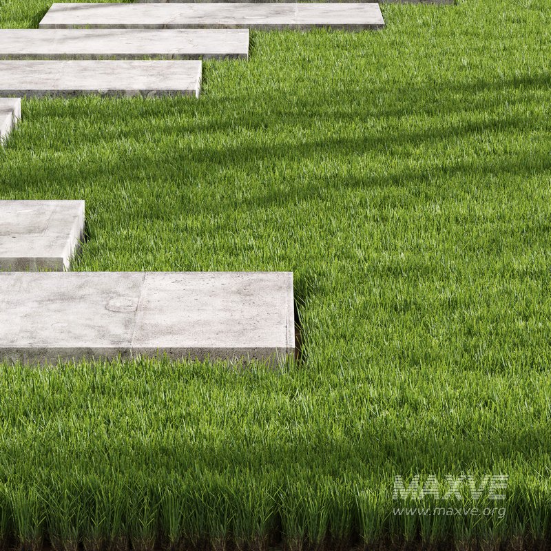 Decorative Floor Grass 3d model Download Maxve