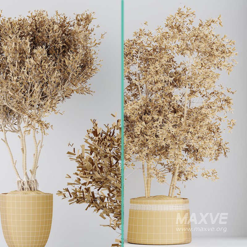 Indoor plants set 106 Olive Artificial Olivo Olea Tree and Mission ...