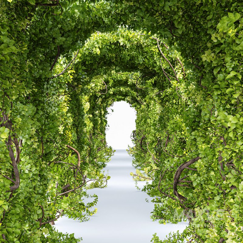 Magical Tree Tunnel Was Carved Out 3d model Download Maxve