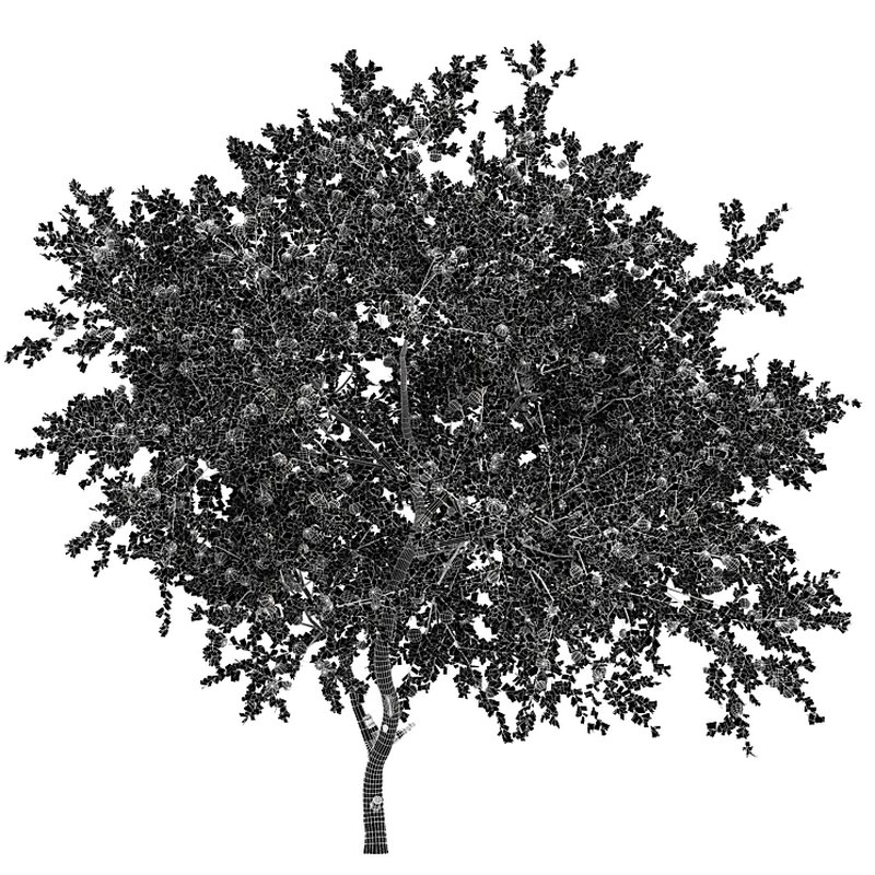 Apple fruit tree 3d model Download Maxve