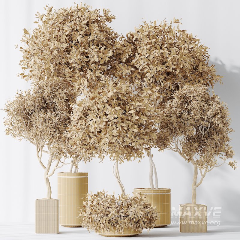 HousePlants Olive Artificial Olivo Olea Tree 3d model Download Maxve