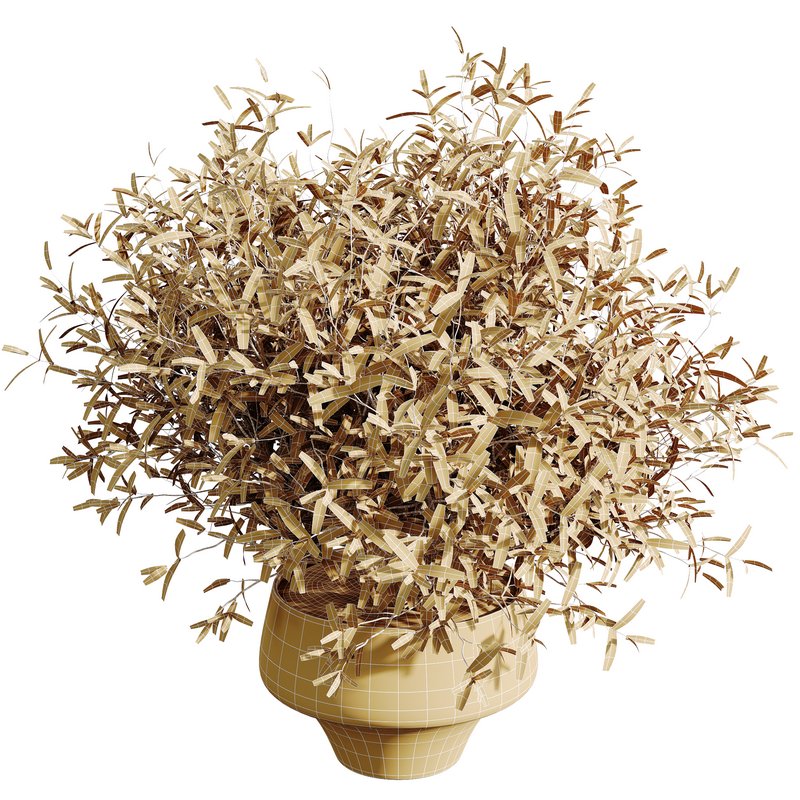 HousePlants Olive Artificial Olivo Olea Tree 3d model Download Maxve