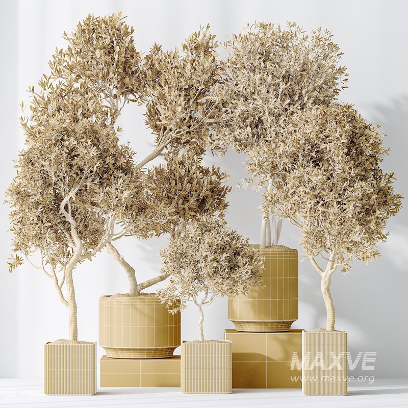 HousePlants Olive Artificial Olivo Olea Tree 3d model Download Maxve