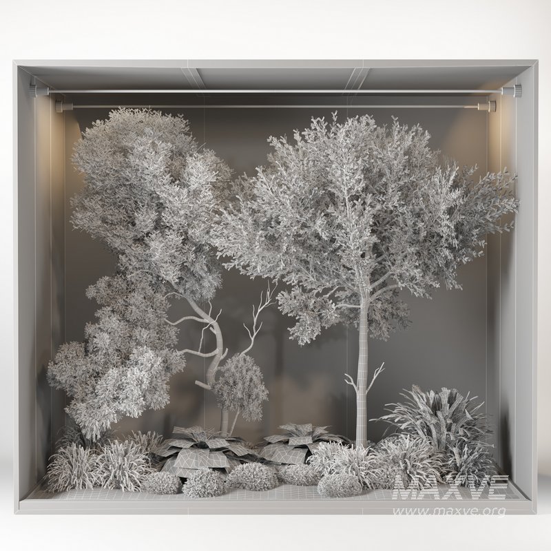 outdoor garden tree plant011 collection 3d model Download Maxve