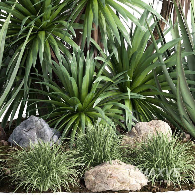 outdoor garden tree plant011 collection 3d model Download Maxve