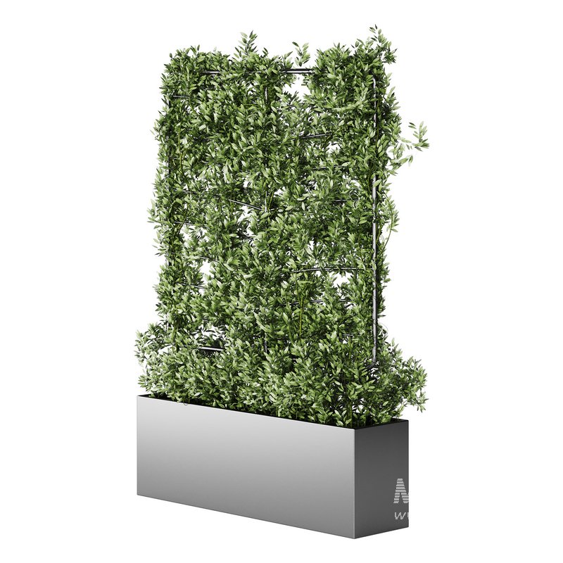 Botanical Planter 4 3d model Download Maxve