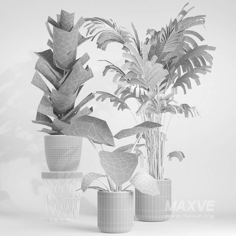 indoor plant set001 3d model download free maxve
