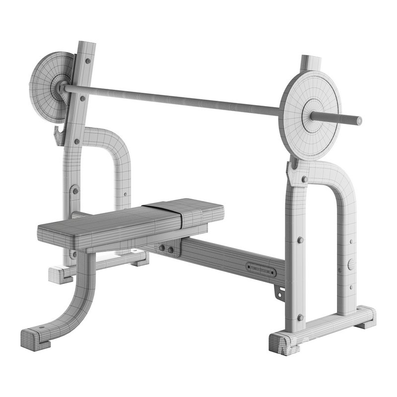 Sierra Olympic Flat Bench 3d model download free maxve