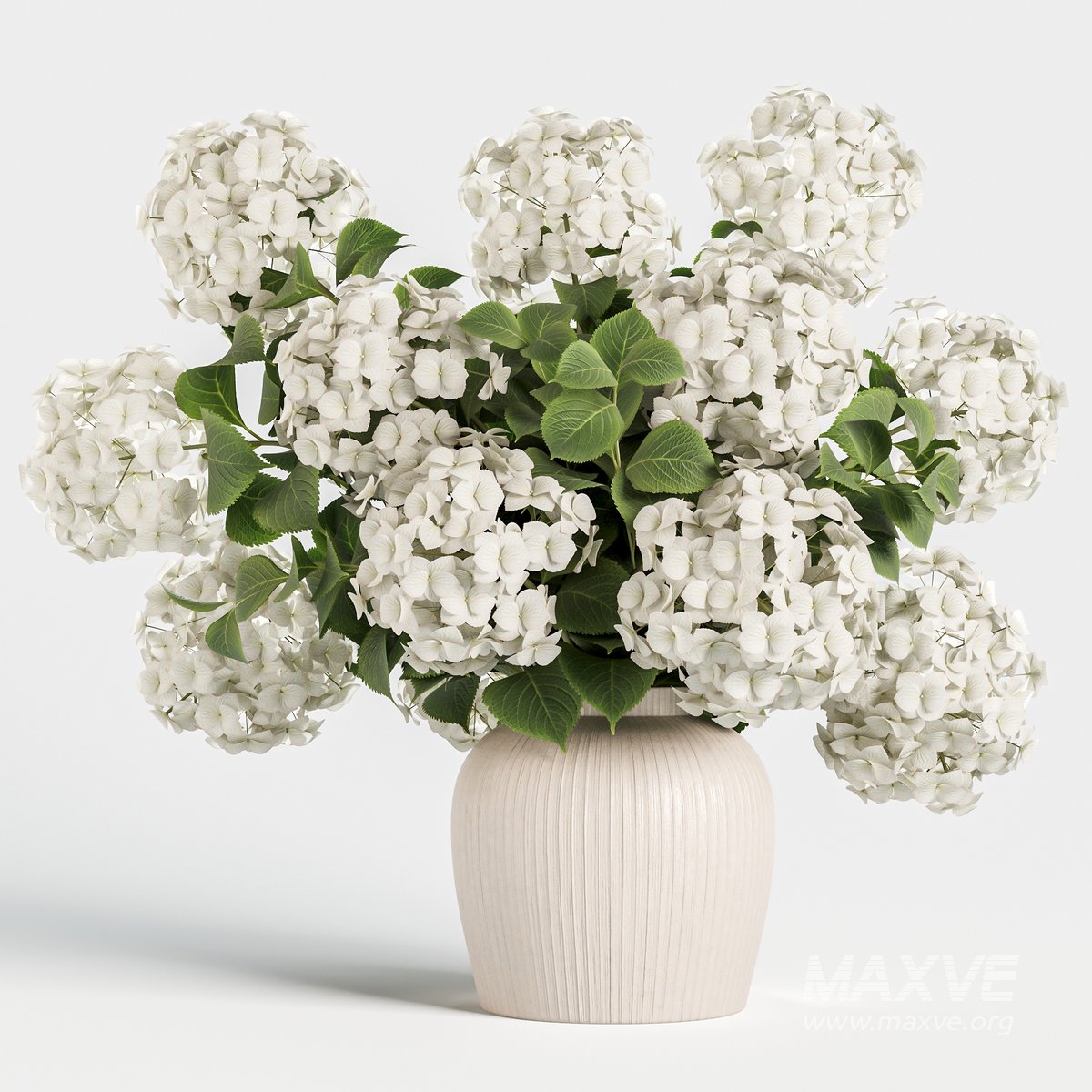 Hydrangea Bouquet in Textured Ceramic Vase 3 Color Variants 3d model Download Maxve