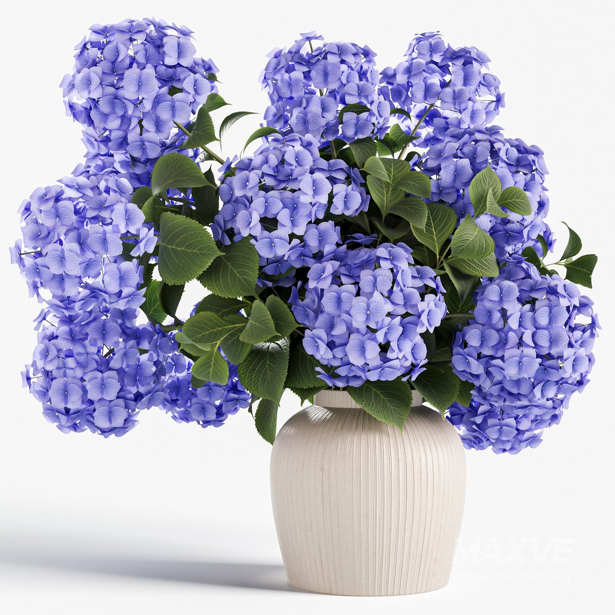 Hydrangea Bouquet in Textured Ceramic Vase 3 Color Variants 3d model Download Maxve