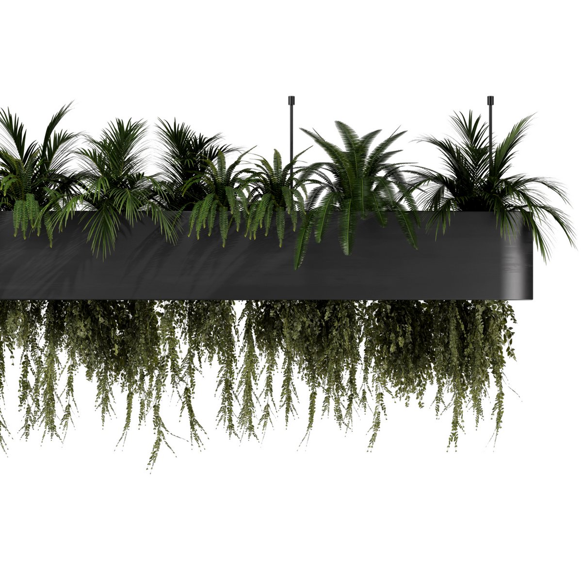 Reception Desk With Hanging Plants - Set10 3d model Download Maxve