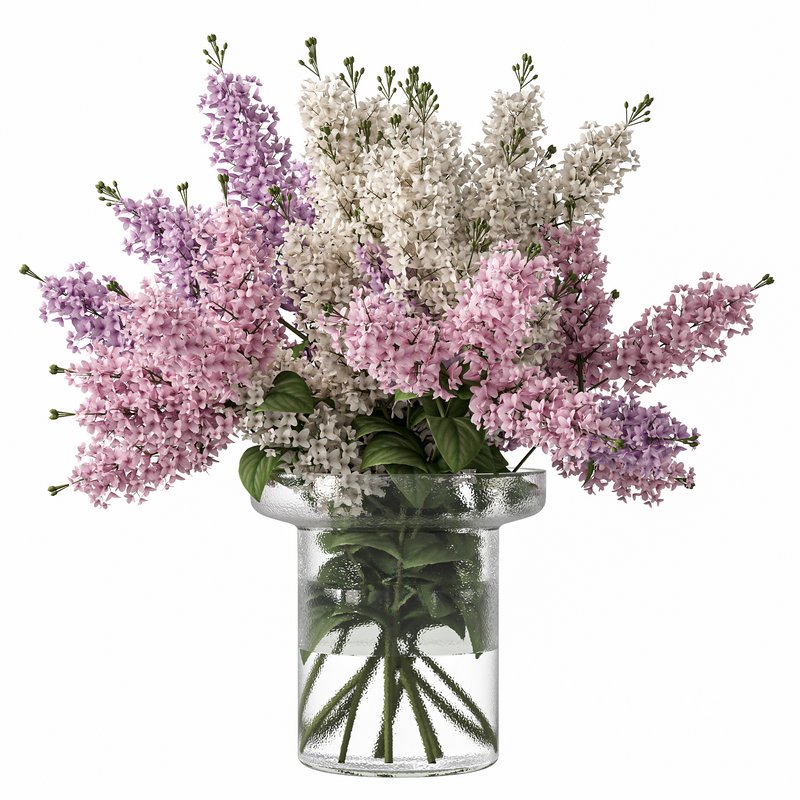Bouquets 24 lilacs 3d model Download Maxve