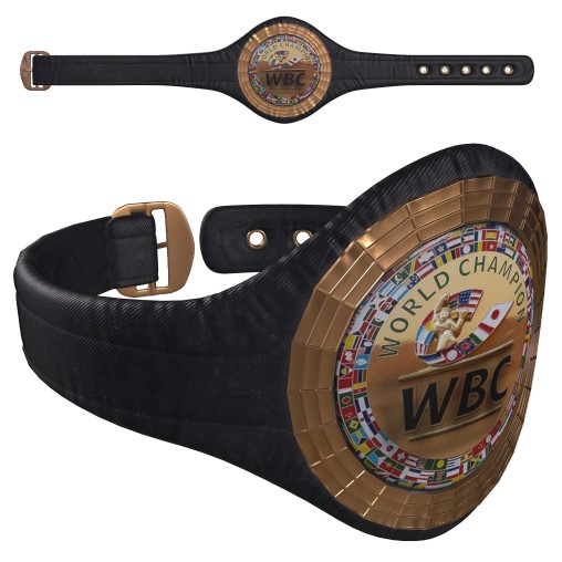 boxer belt 3D model Maxve